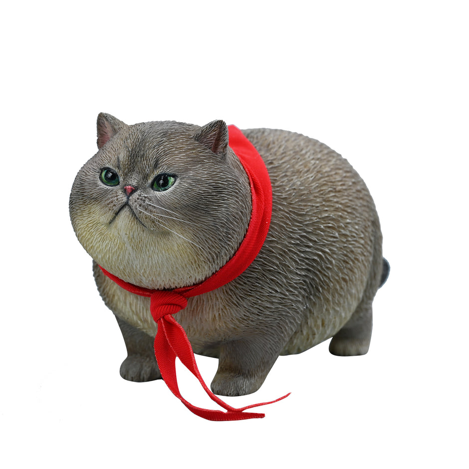 Cat – JXK Studio