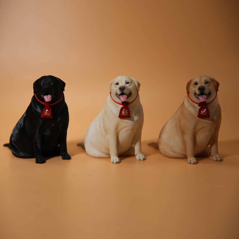 Dog – JXK Studio